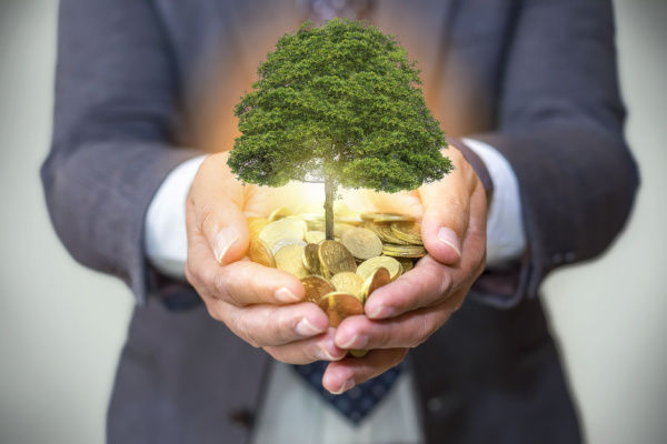 Ethical Investing | Accru